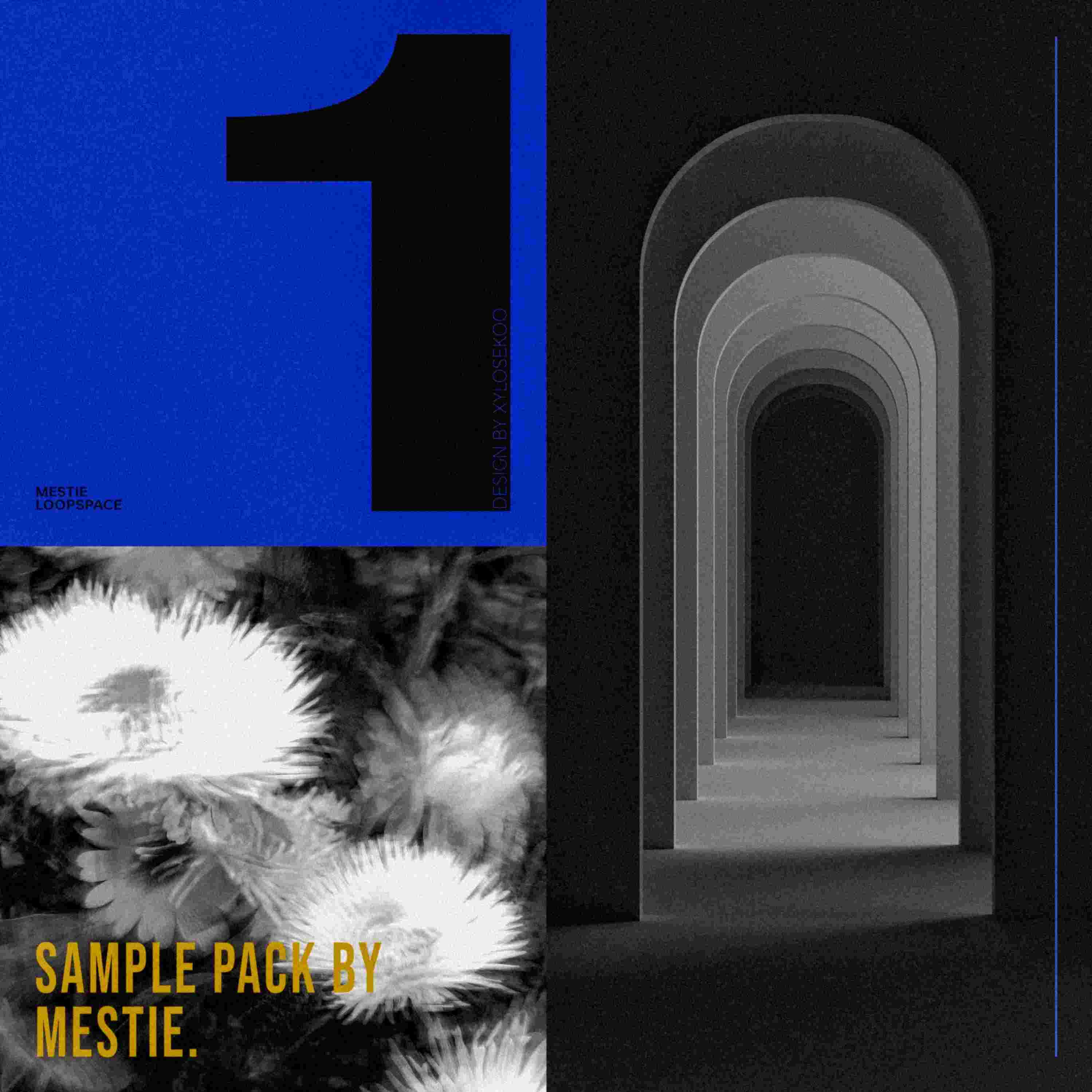 Mestie Sample Pack Vol.1 - Mestie | 采样包 | LOOPSPACE